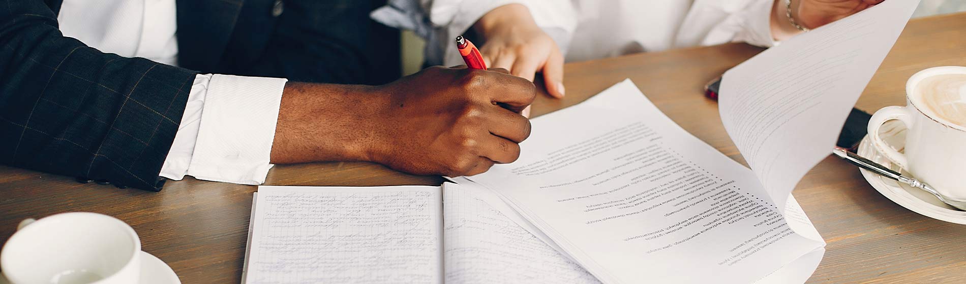 Labor Laws – Mina Iskander