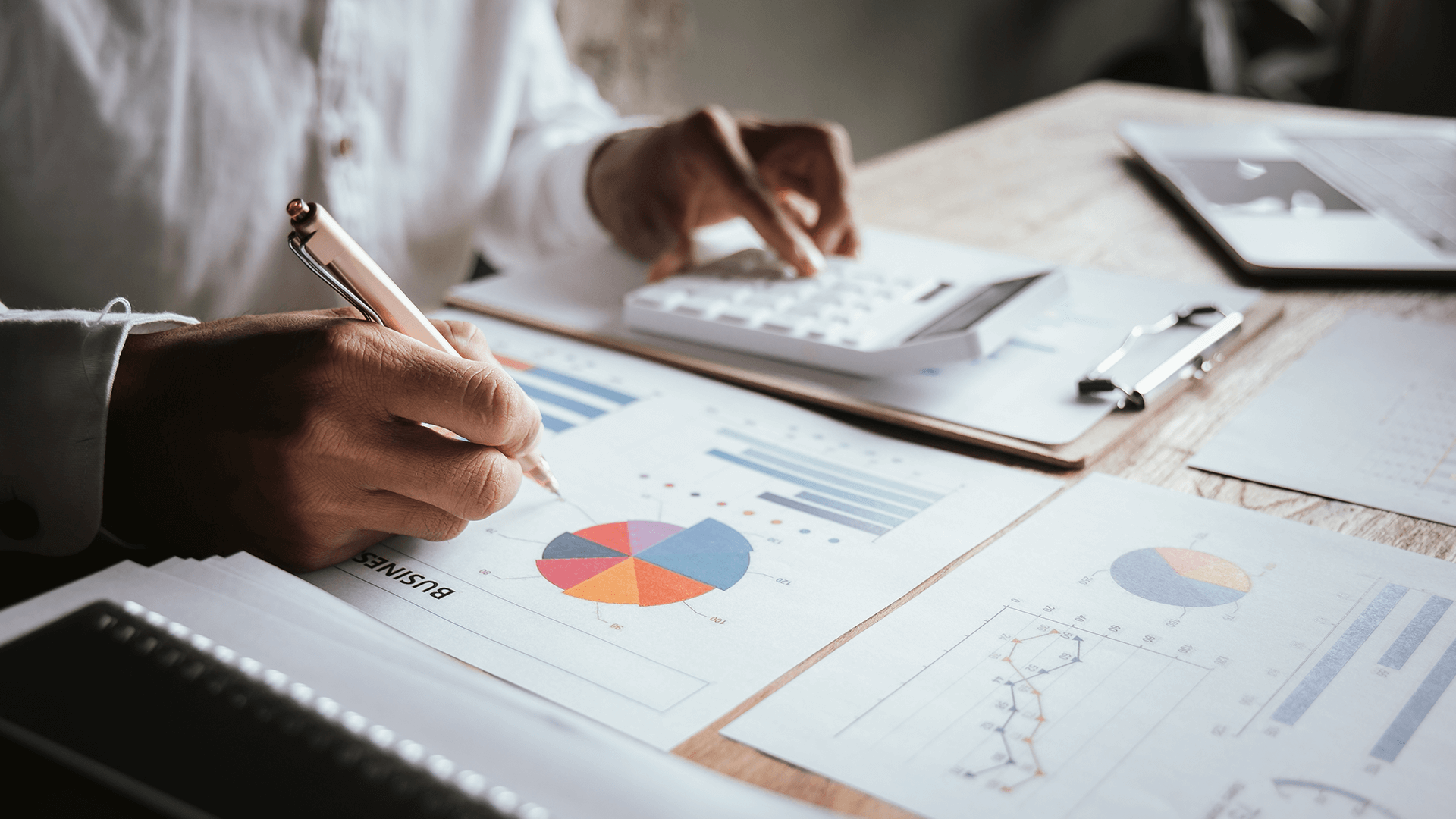 Risk Management – Mina Iskander